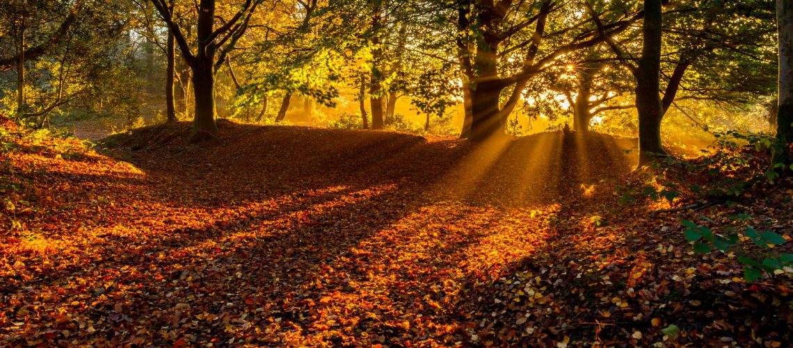 Lighting Design Tip: Strong Contrasts in Lighting